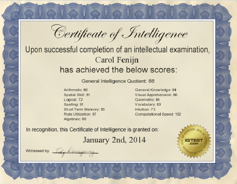 IQ Certificate | PDF