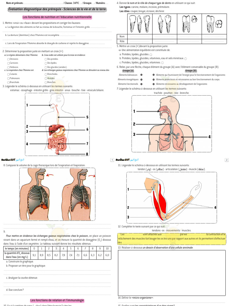 Evaluation Diagnostique - 3 APIC | PDF