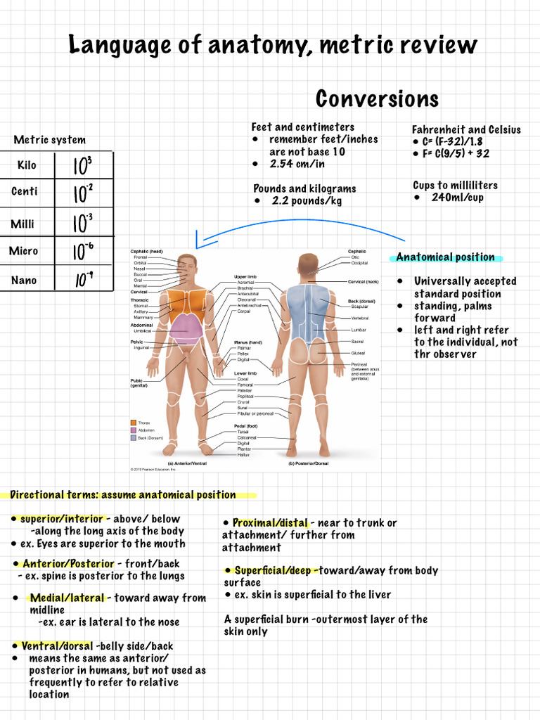 Language of Anatomy | PDF