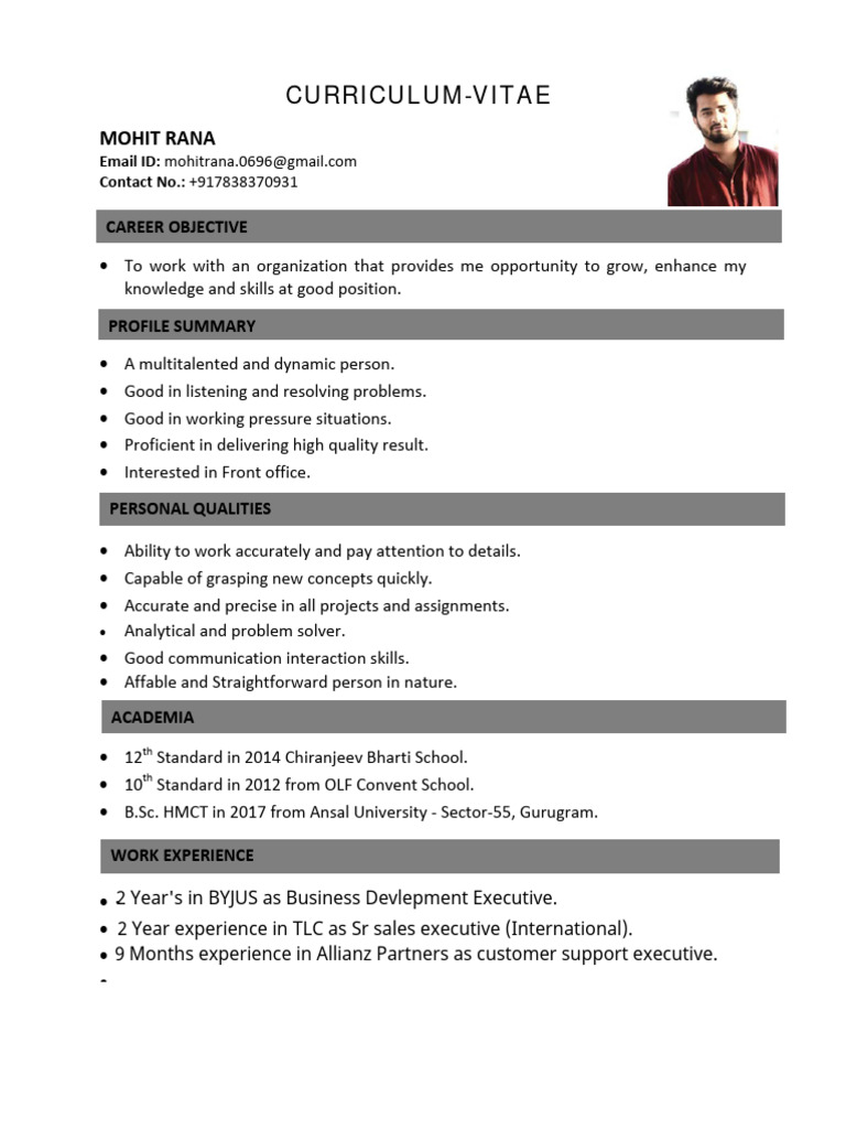 EXAMPLE OF CV | PDF