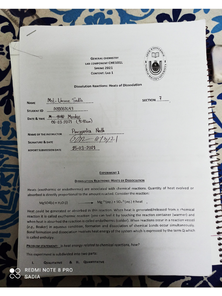 CHE101L Lab Report 1 - 2 | PDF