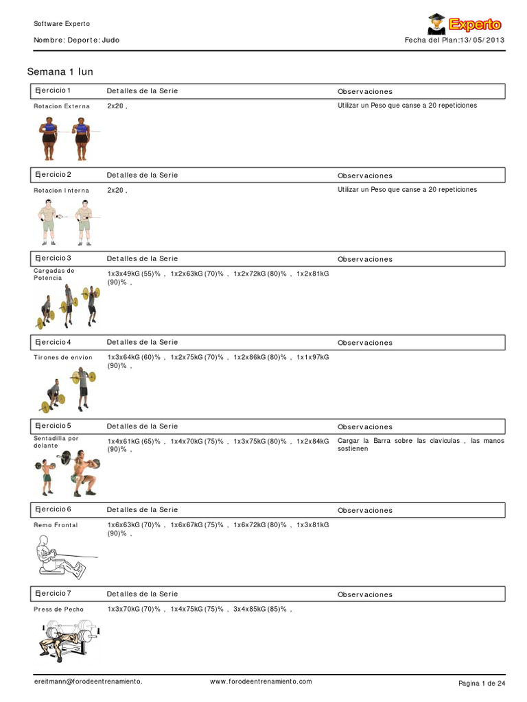 Plan de Entrenamiento para Judo | PDF | Articulaciones | Ejercicio físico