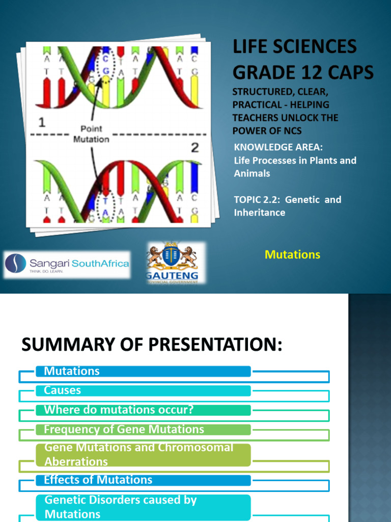 PP10 Mutations | PDF | Mutation | Point Mutation