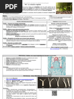 Cours 2-La Paroi Pectocellulosique PDF | PDF | Paroi cellulaire | Lignine