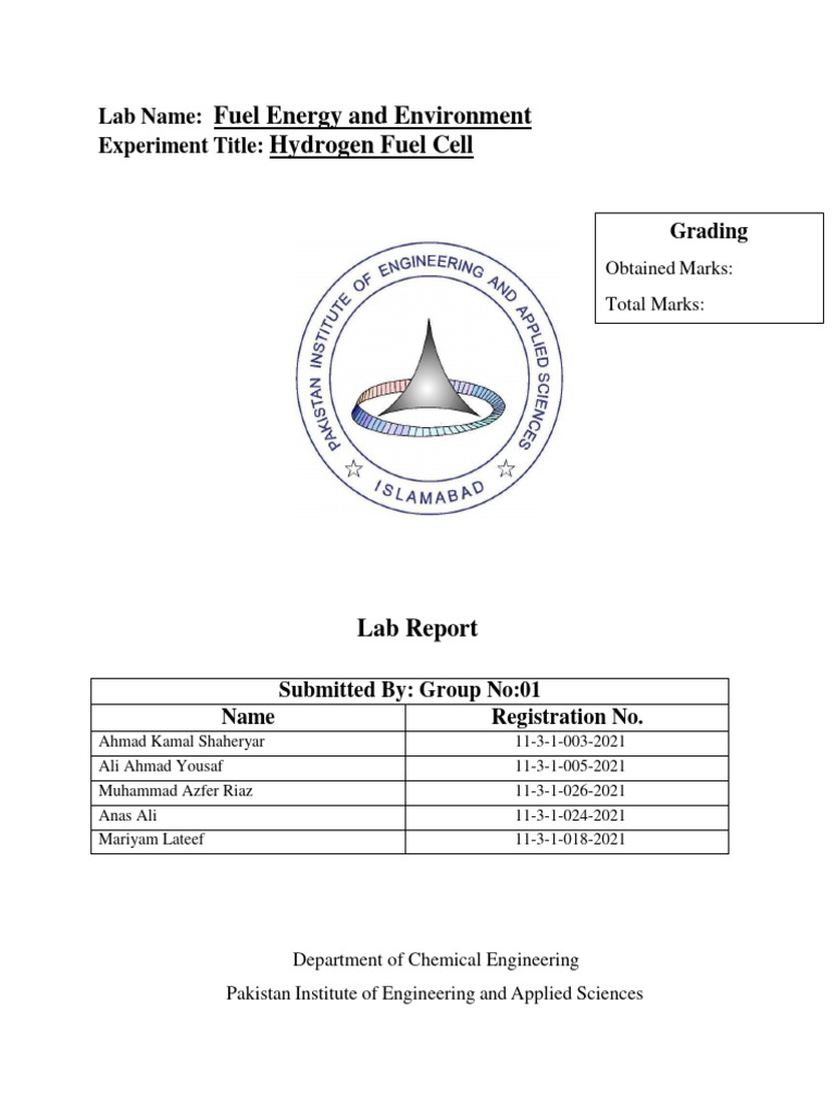 Hydrogen Fuel Cell Experiment | Download Free PDF | Fuel Cell | Hydrogen