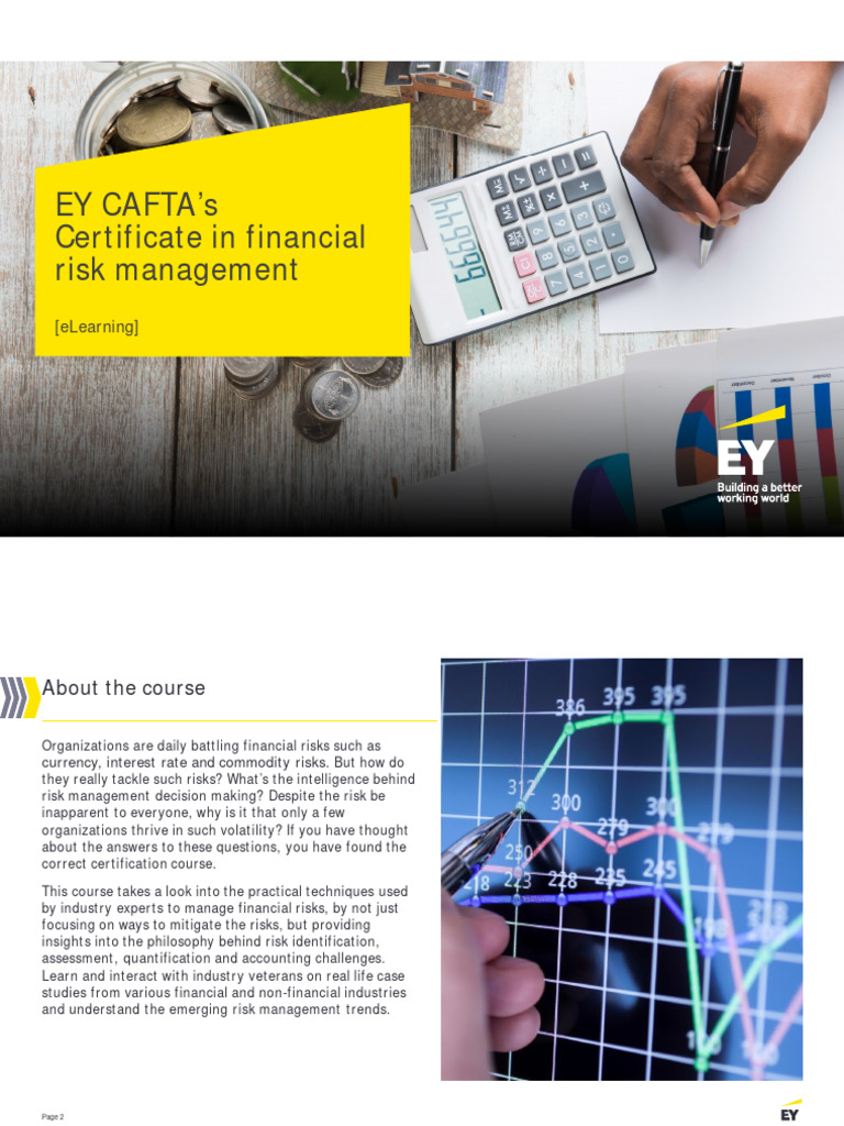 EY Financial Risk Management Certificate | PDF