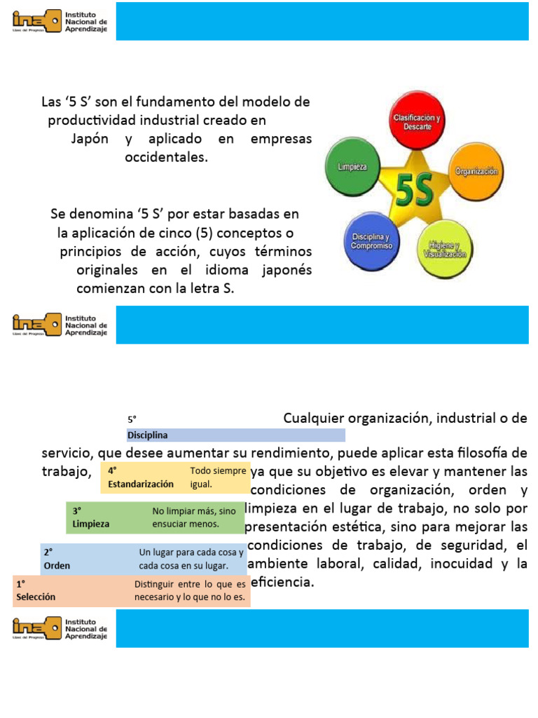 Programa 5 S' | PDF | Business