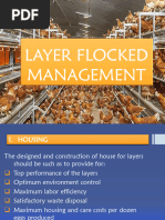 A Beginner's Guide To Layer Farming - Livestocking | PDF | Chicken ...