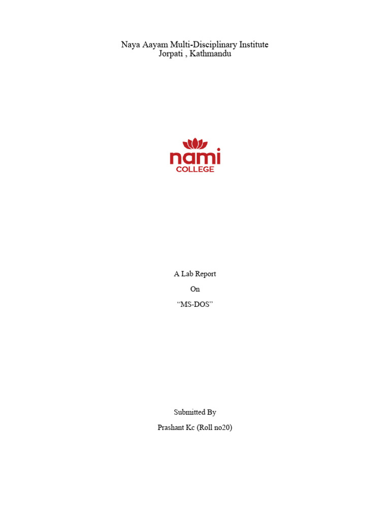 MS-DOS | PDF | Operating System | Command Line Interface