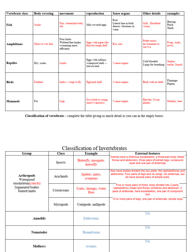 Key - Classification of Vertebrates Table Worksheet | PDF | Zoology