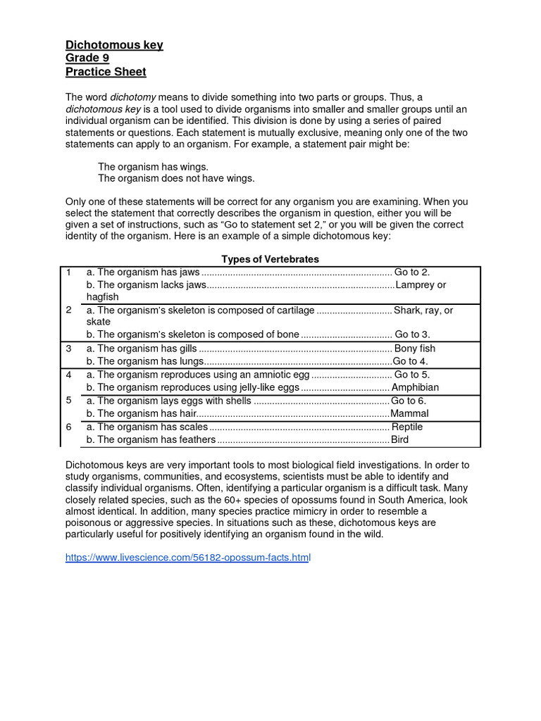 Dichotomous Key - Worksheet | PDF | Egg | Birds