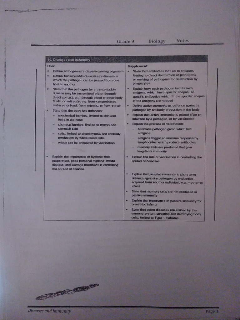 Chapter 10 Bio Notes Handout | PDF