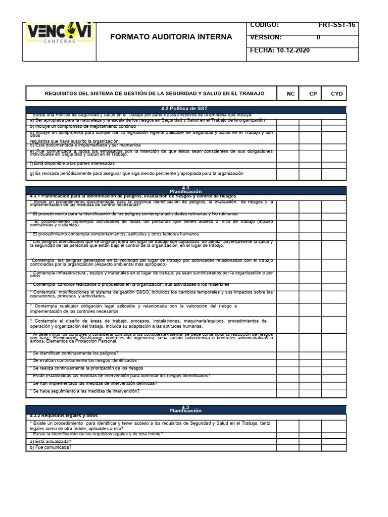 Formato Auditoria Interna | PDF | Auditoría | Planificación