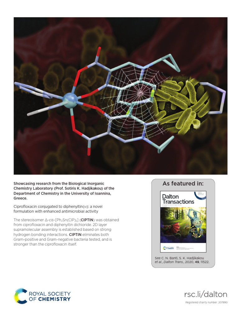 Ciprofloxacin Conjugated To Diphenyltin (IV) : A Novel Formulation With ...