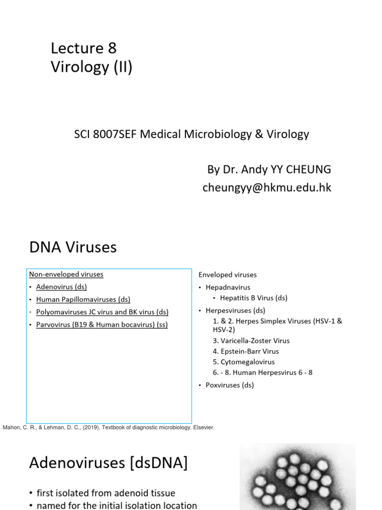 Lecture 8 - SCI 8007SEF Medical Microbiology & Virology-Virology II - 2023 | PDF | Virus ...
