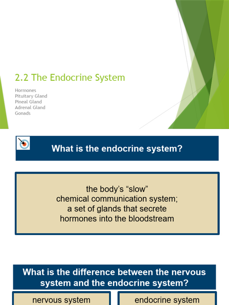 Unit 2 - Biological Psychology-L!-W5-1 | PDF | Endocrine System | Hormone