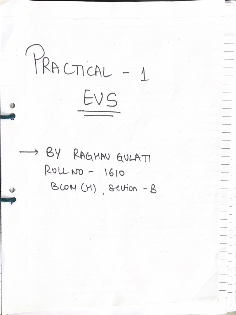 Evs File 1 | PDF