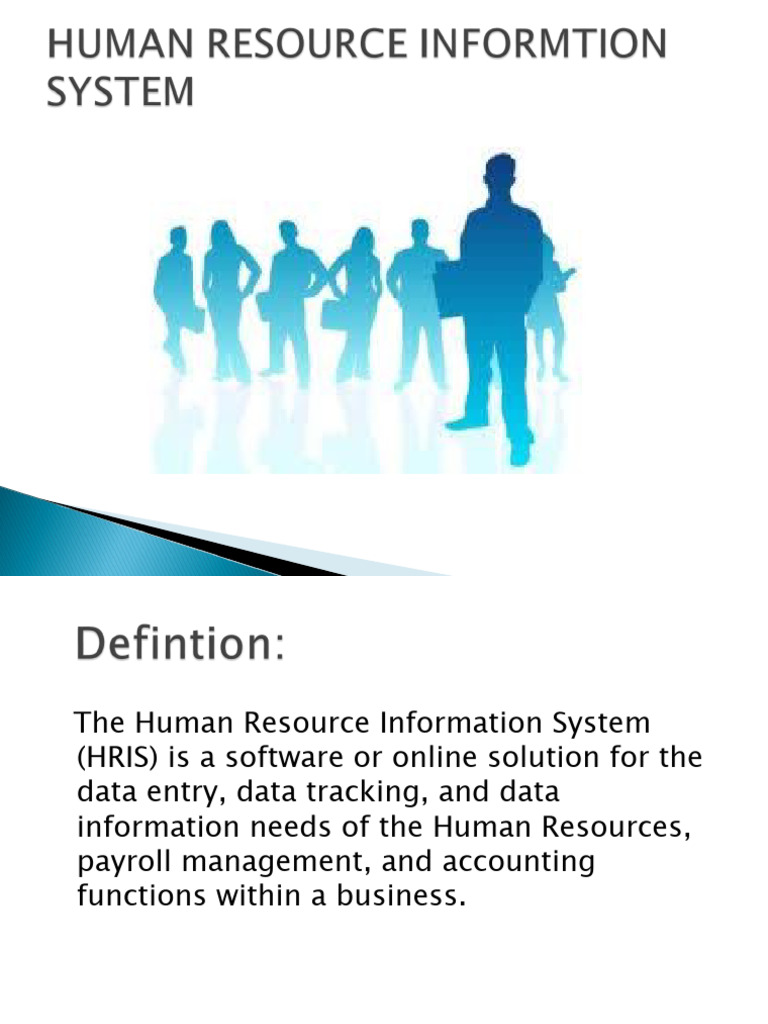 Chapter Two HRIS | PDF