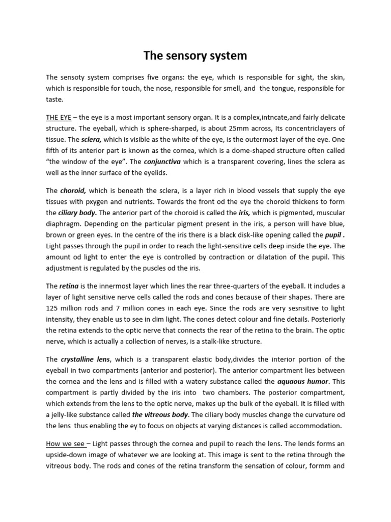 Angliski Teksoj 1 | PDF | Autonomic Nervous System | Central Nervous System