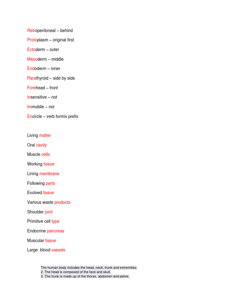 Angliski Kniga Vezbi | PDF | Vertebral Column | Anatomy
