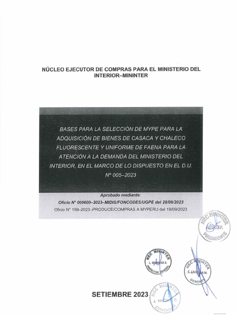 PARTE 1 Bases APROBADAS MYPE ET4 | PDF