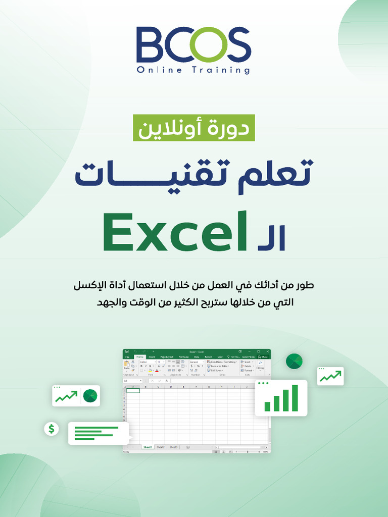 Brochure F. Excel | PDF
