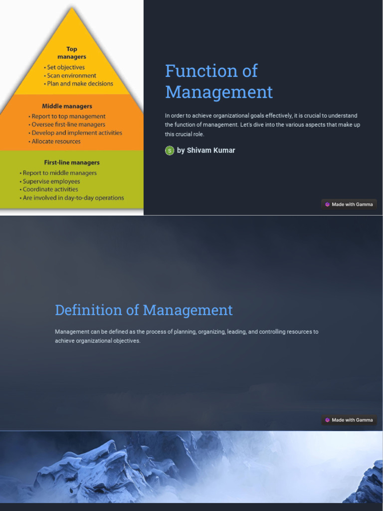 Function of Management | PDF