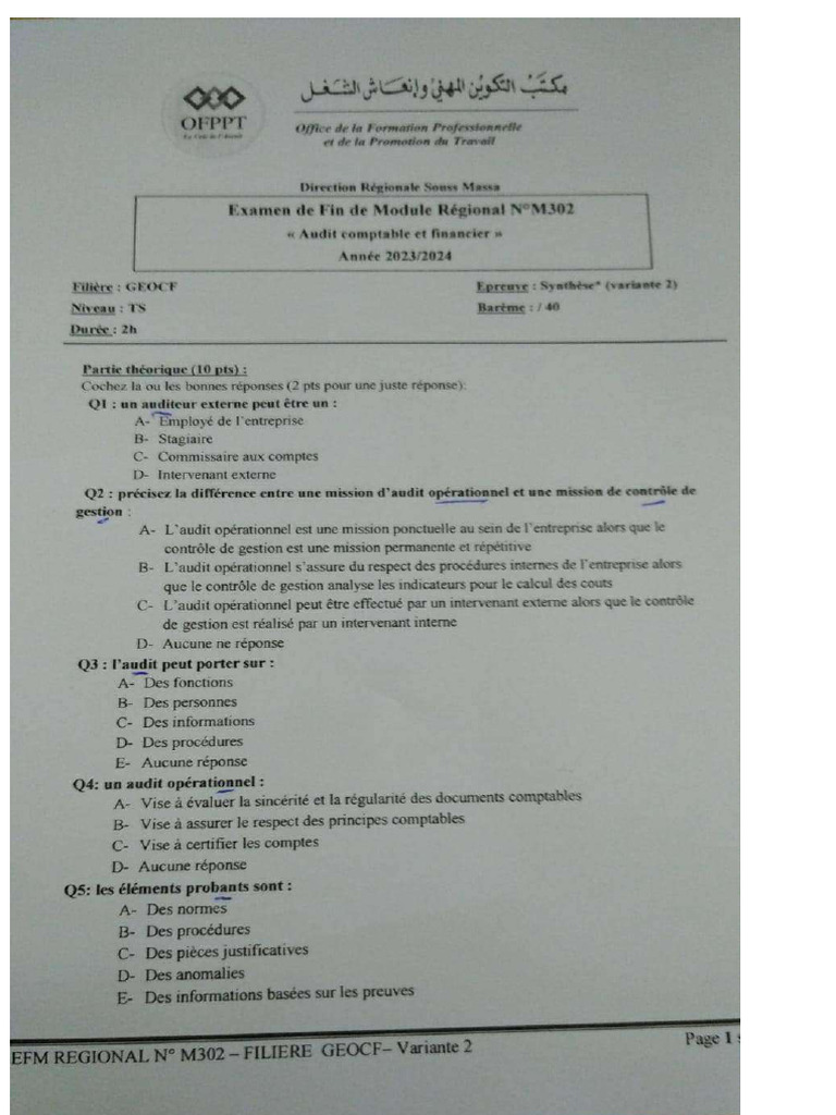 EFMR Audit V2 - Agadir 2023 | PDF