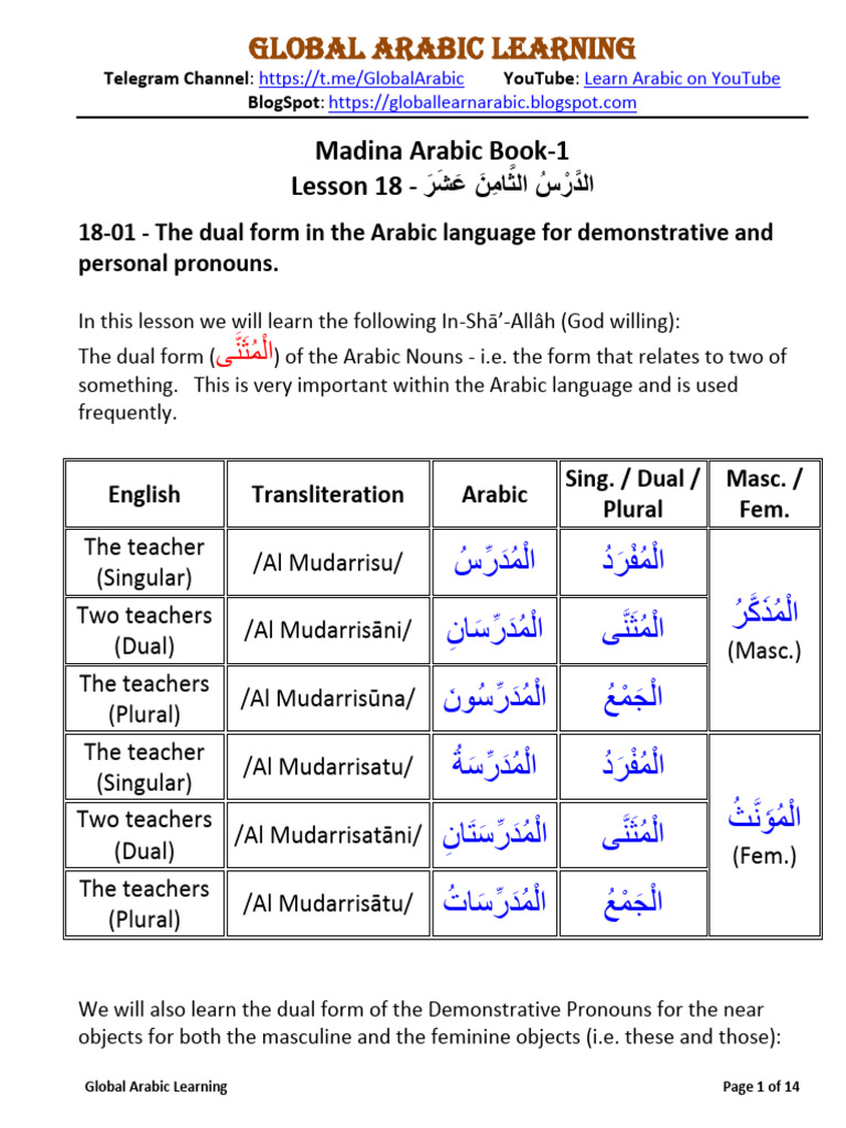 Global Arabic Learning | PDF | Grammatical Number | Grammatical Gender
