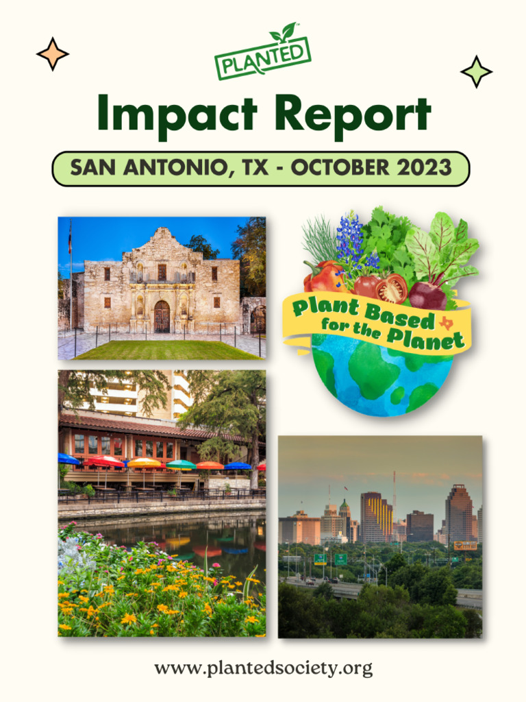 Impact Report | PDF