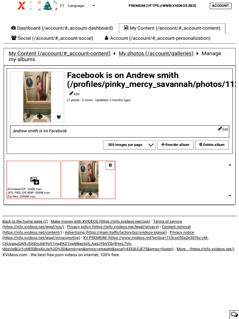 XVIDEOS Terms and Privacy Overview | PDF