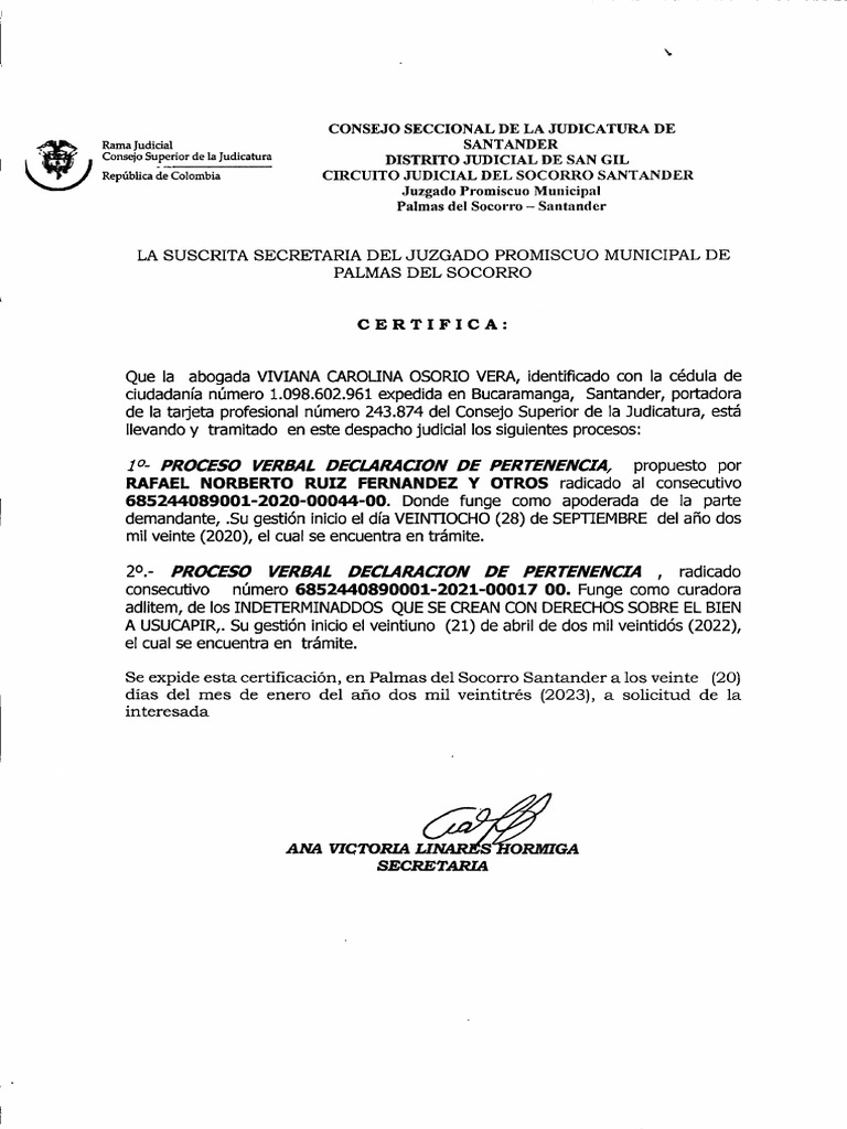 Certificacion Juzgado Palmas Del Socorro Stader | PDF