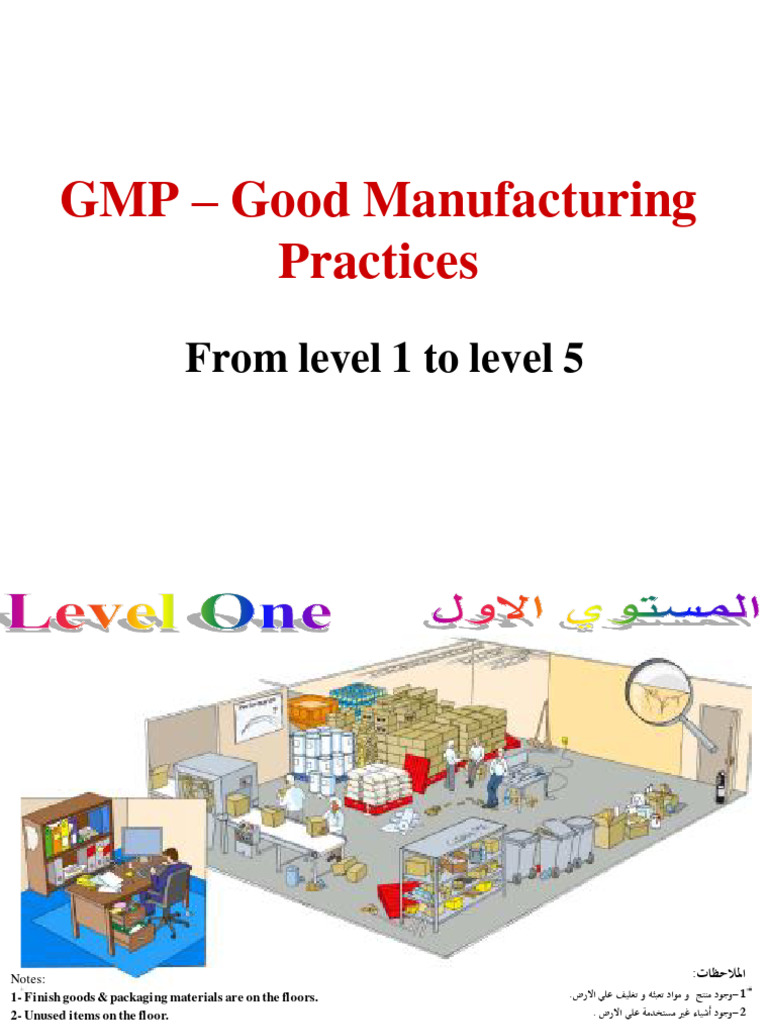 GMP - Good Manufacturing Practices: From Level 1 To Level 5 | PDF