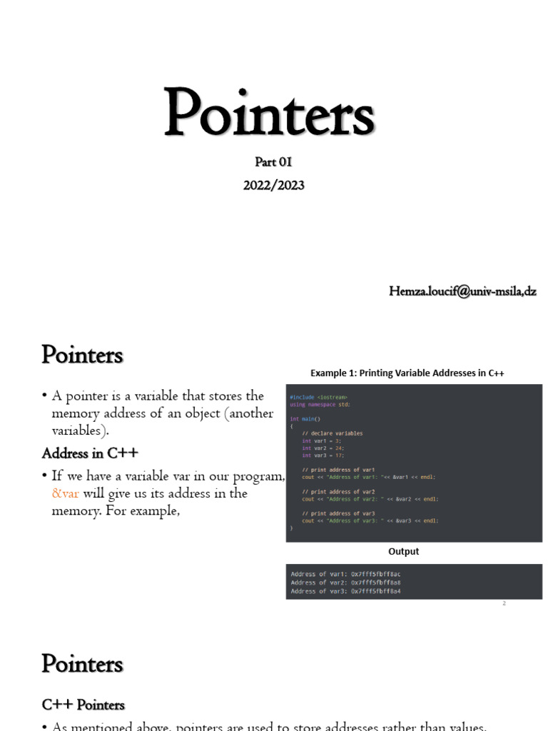 Pointers Akfnzkdk | PDF