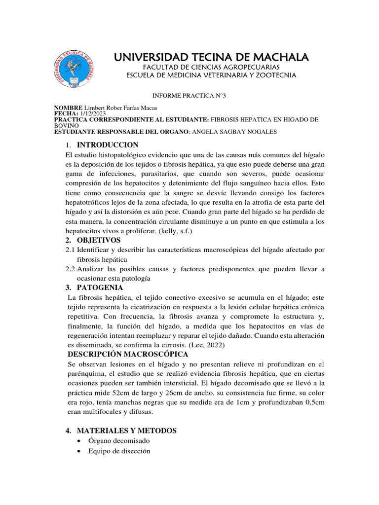 modelo_para_INFORME_PRACTICAS angela | PDF | Cirrosis | Hígado