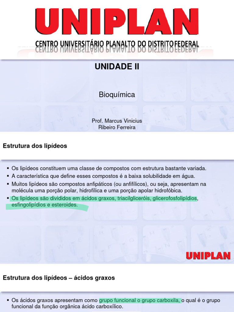 SLD - 2 (1) - Cópia | PDF
