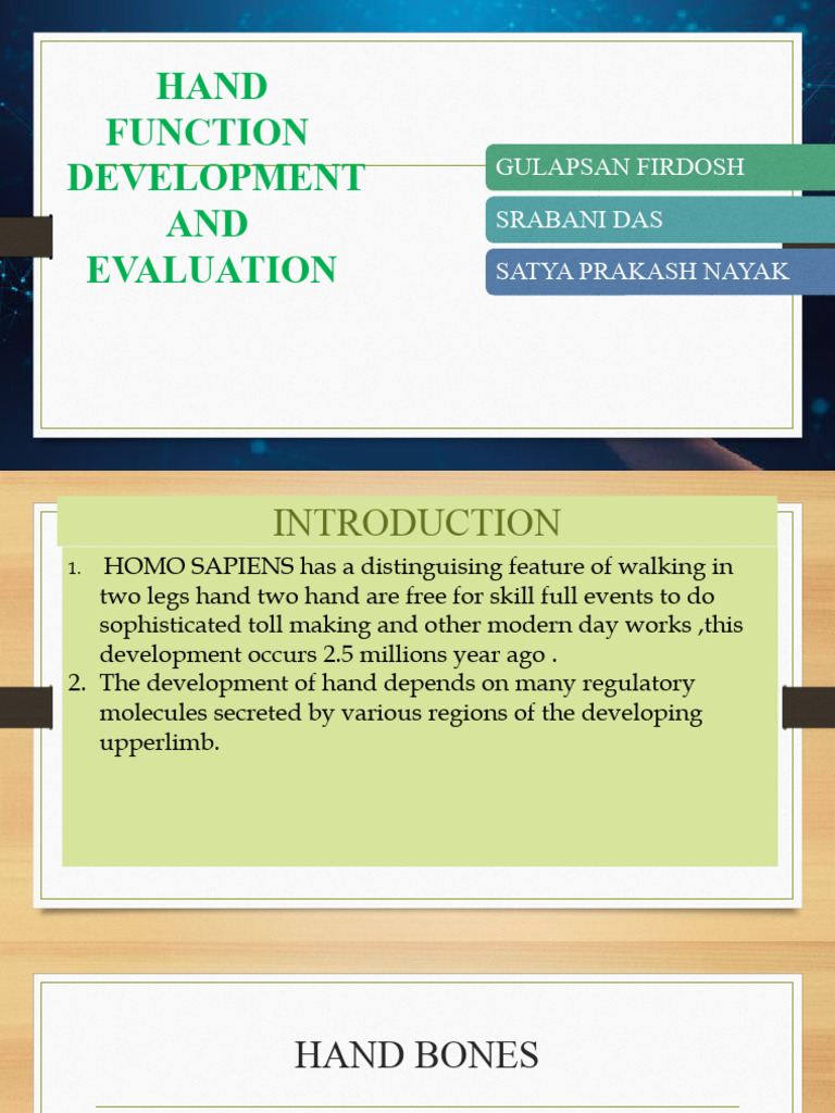 Presentation 3 | PDF | Hand | Thumb