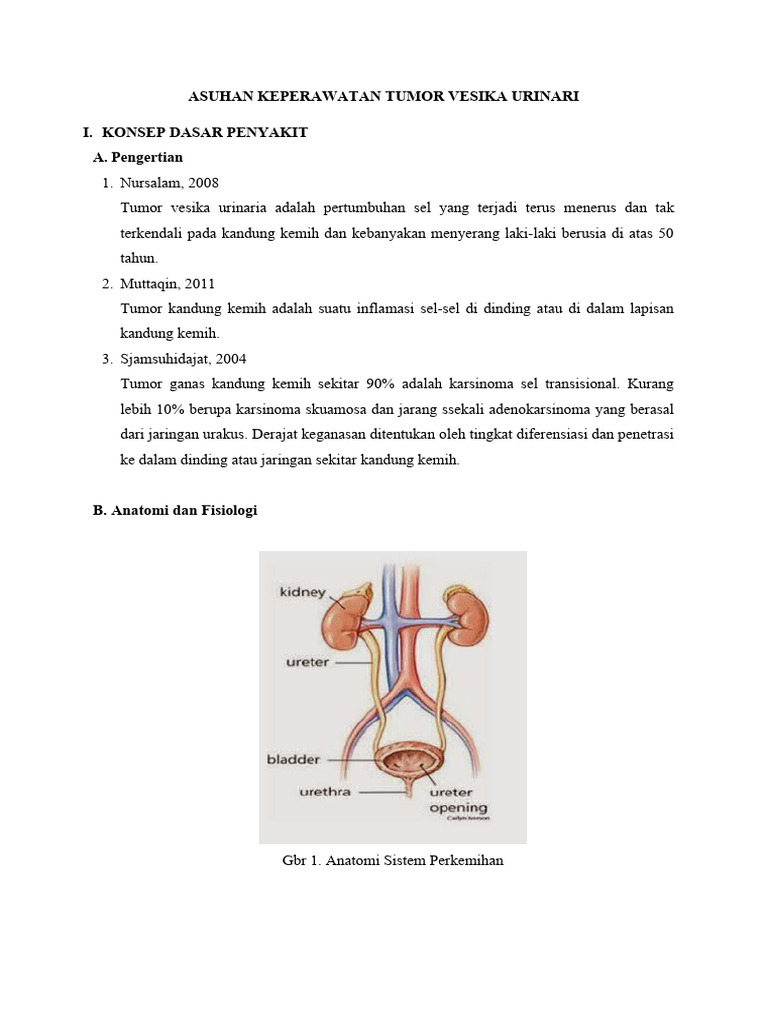 Asuhan Keperawatan Tumor Vesika Urinari | PDF | Sains & Matematika