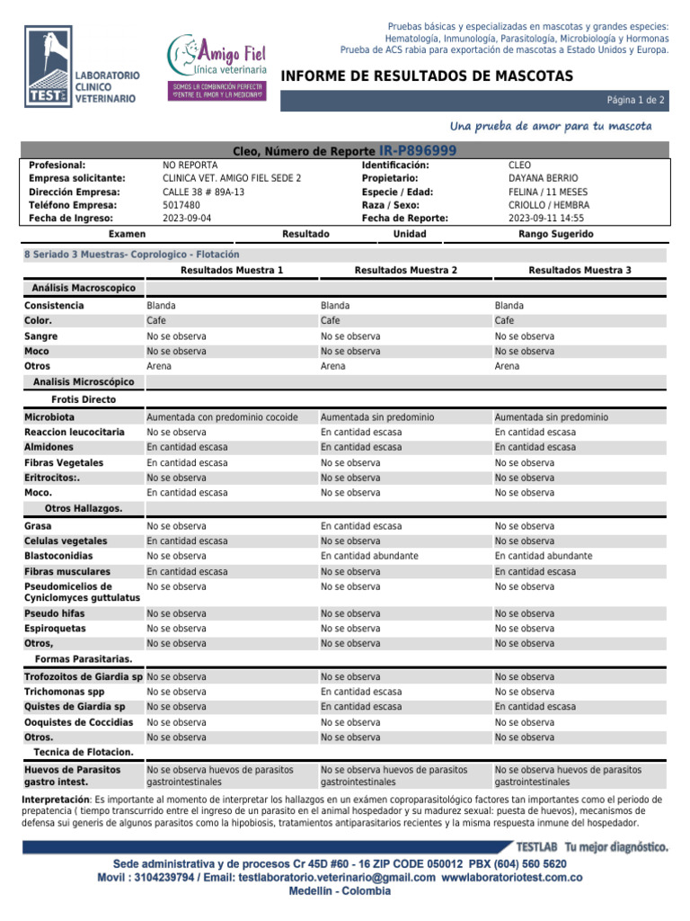 Examen Coprologico Seriado | PDF