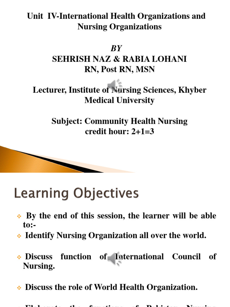 International Nursing Organizations Overview | PDF | Nursing | World ...