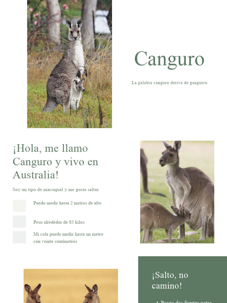 Presentación Final de Los Canguros | PDF | Relaciones personales ...