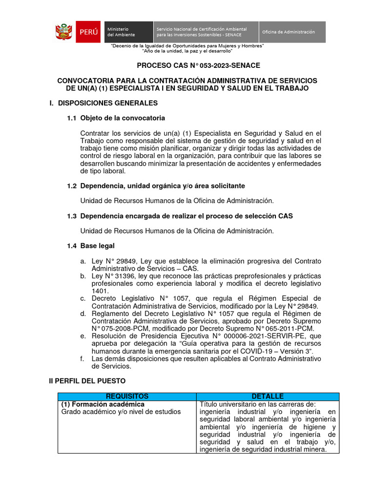 Bases CAS 053 2023 Esp. en Seguridad y Salud en El Trabajo OA RH | PDF