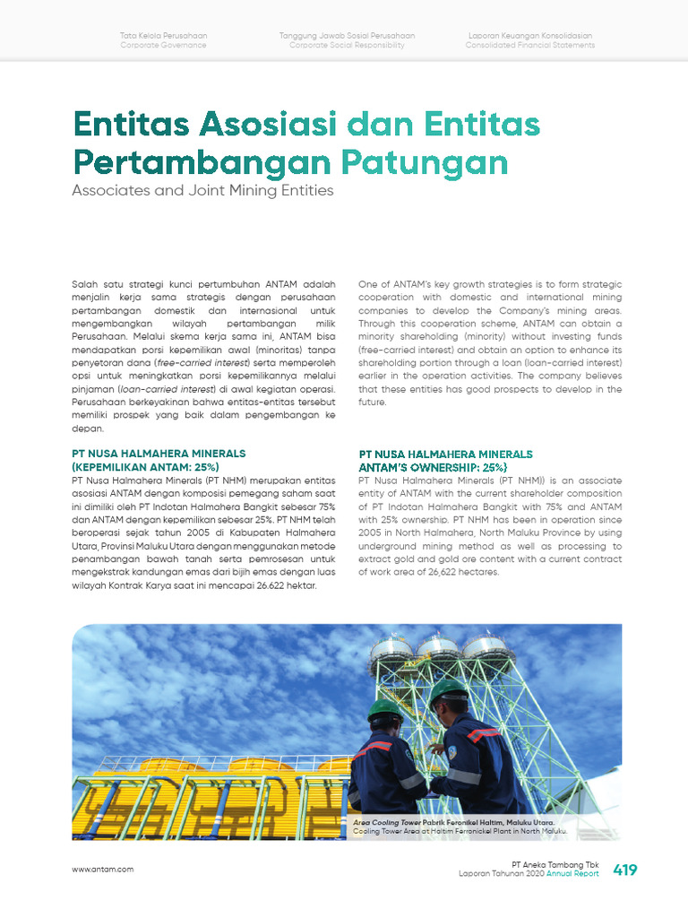 Entitas Asosiasi dan Patungan Pertambangan ANTAM | PDF