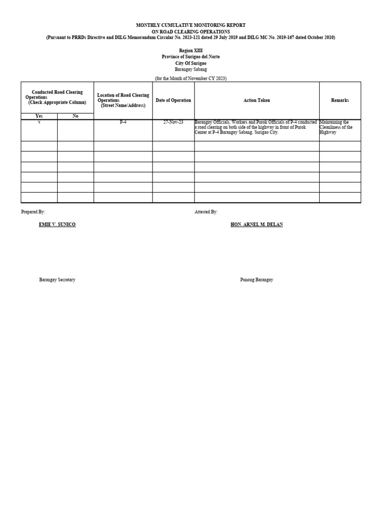 Road Cleaning Report | PDF