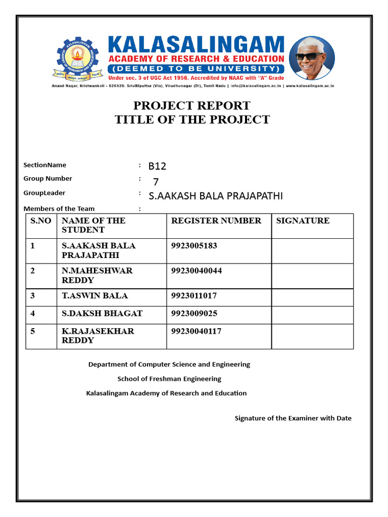 Mini Voting Machine Project Overview | PDF