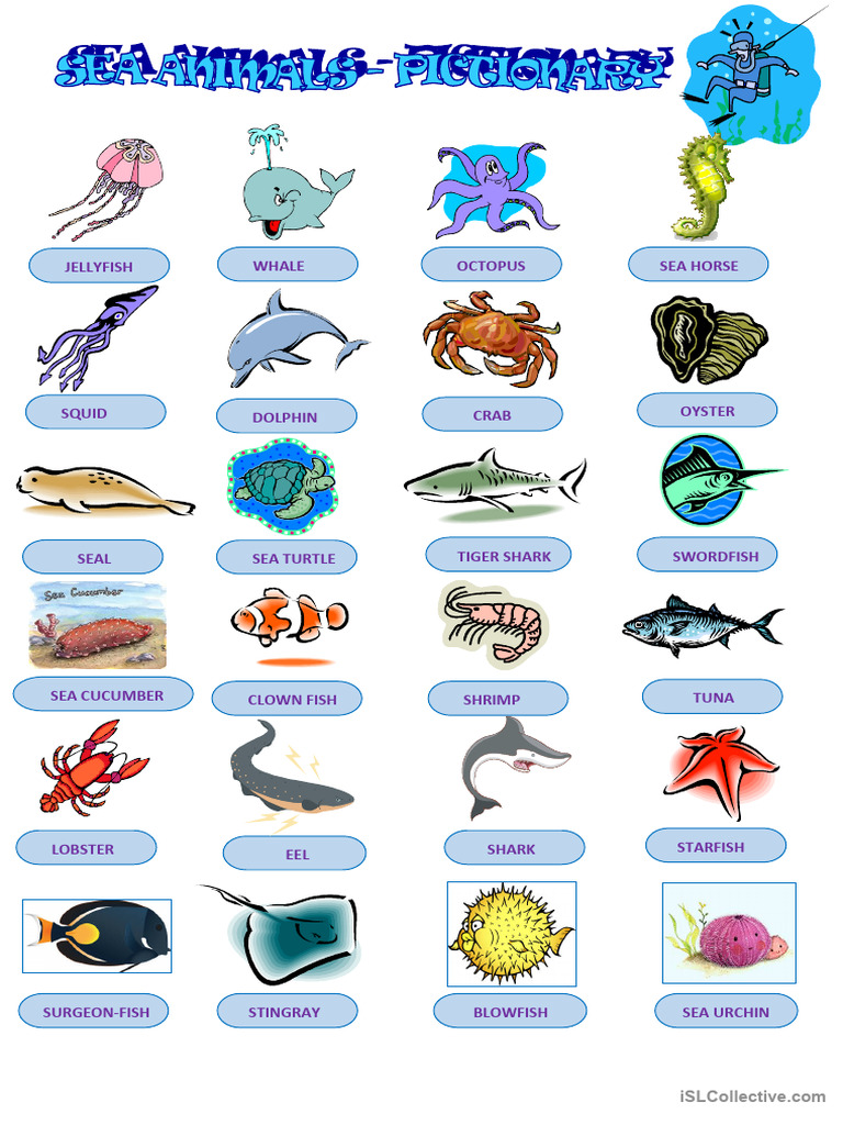 Sea Animals Pictionary | PDF