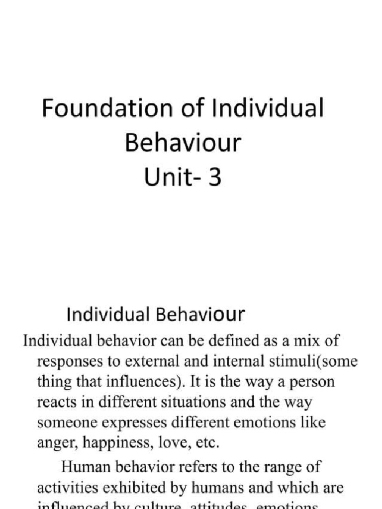 Foundation of Individual Behavior | PDF