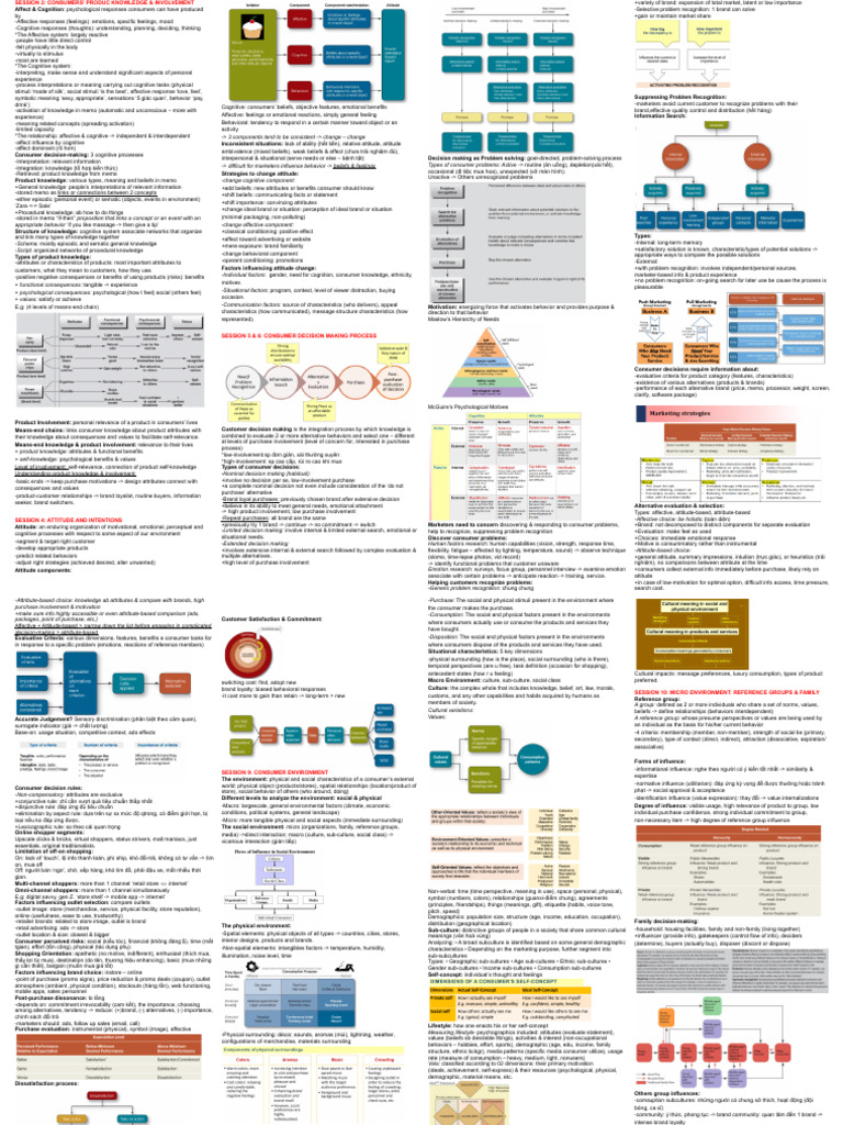 Consumer Behavior Summary | PDF | Affect (Psychology) | Attitude (Psychology)