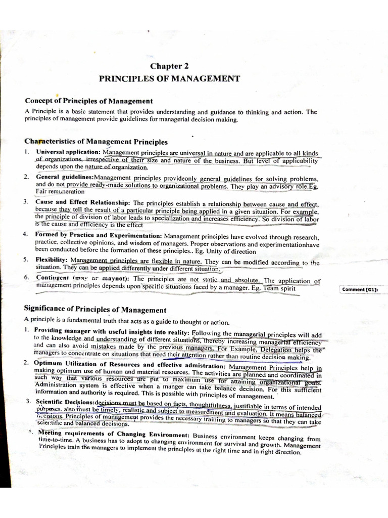 Principles of Management | PDF