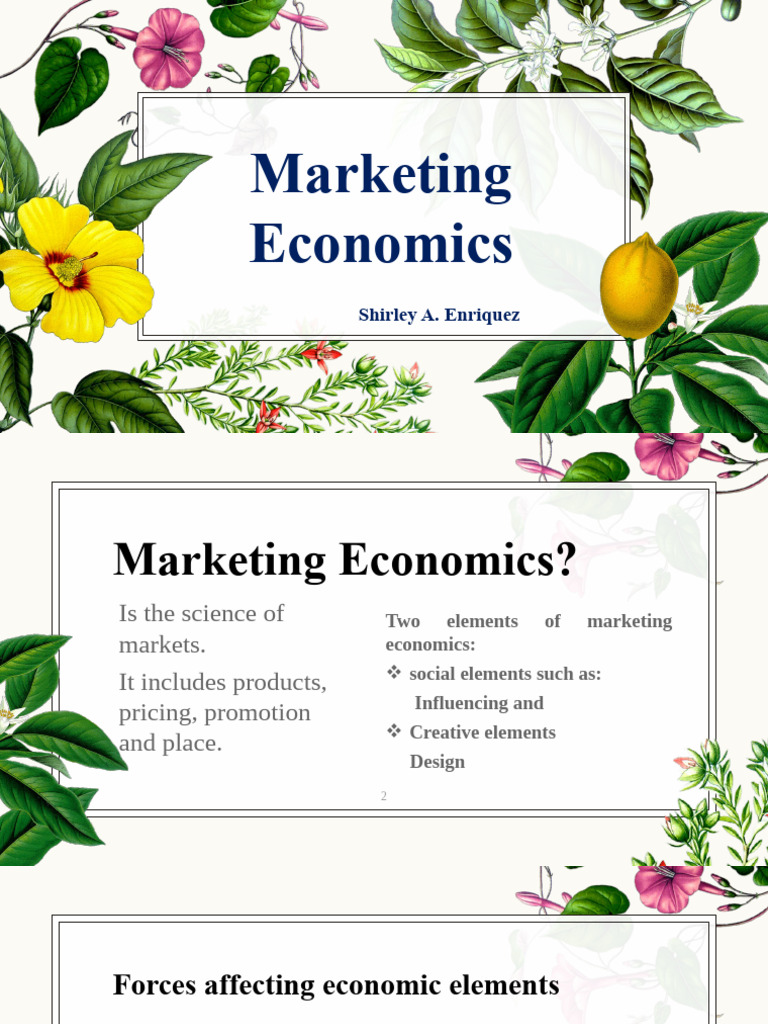 Intro Lesson Marketing Eco | PDF